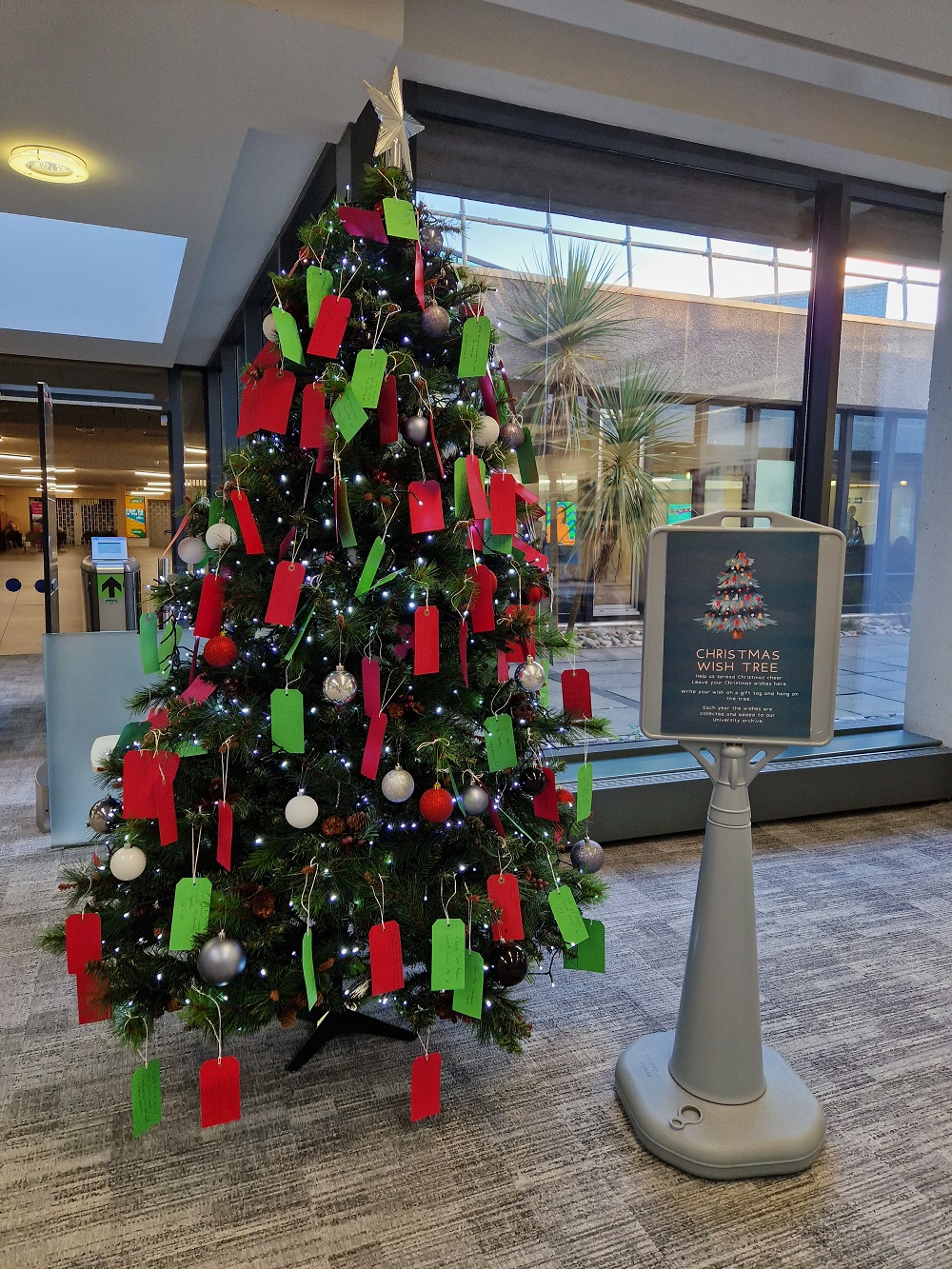 The Christmas Wish Tree – IS News Blog